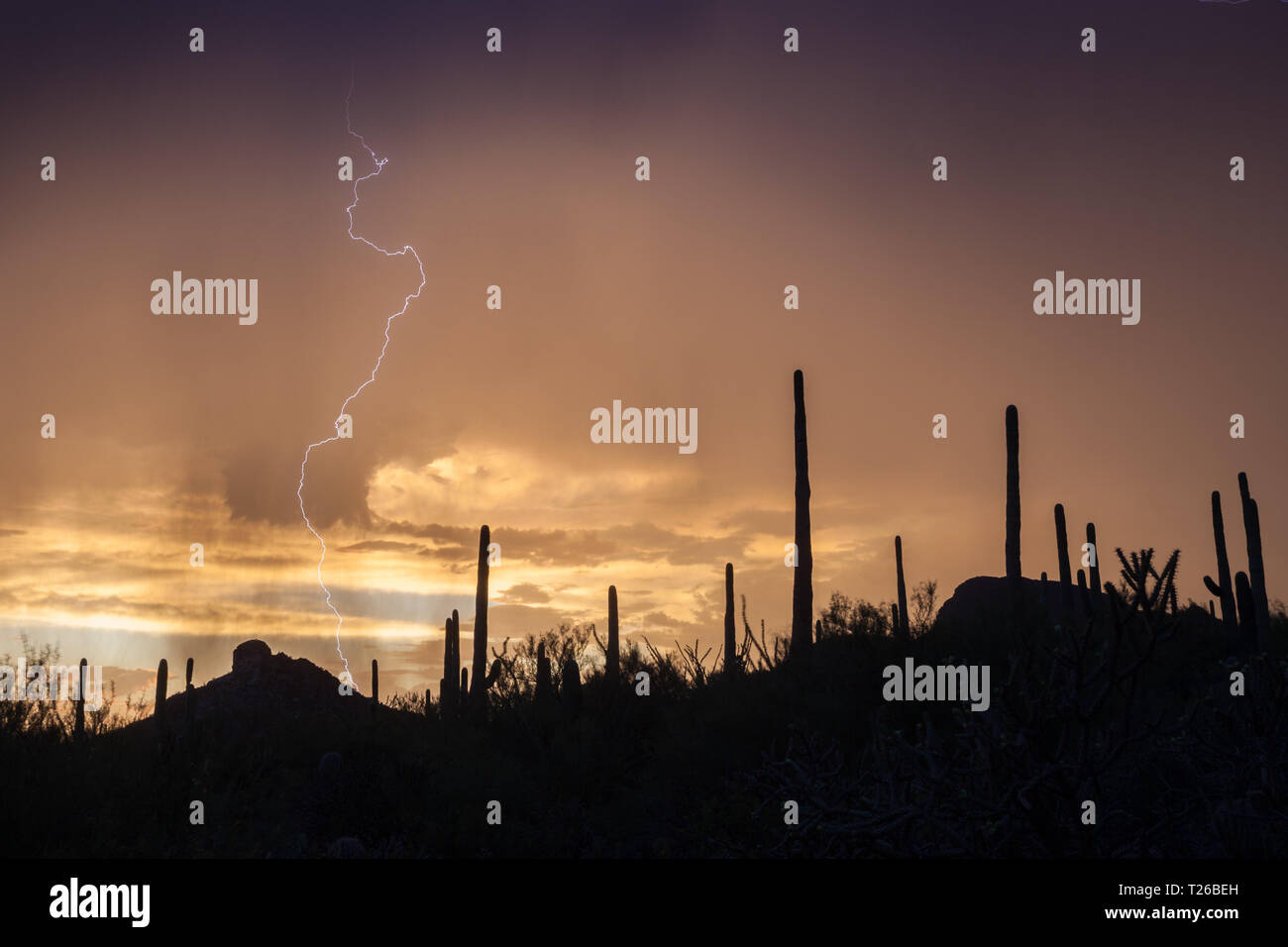 Tucson lightning hi-res stock photography and images - Alamy