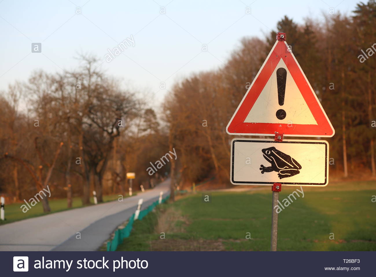 A triangular red sign warns drivers of the hazard of frogs crossing the ...