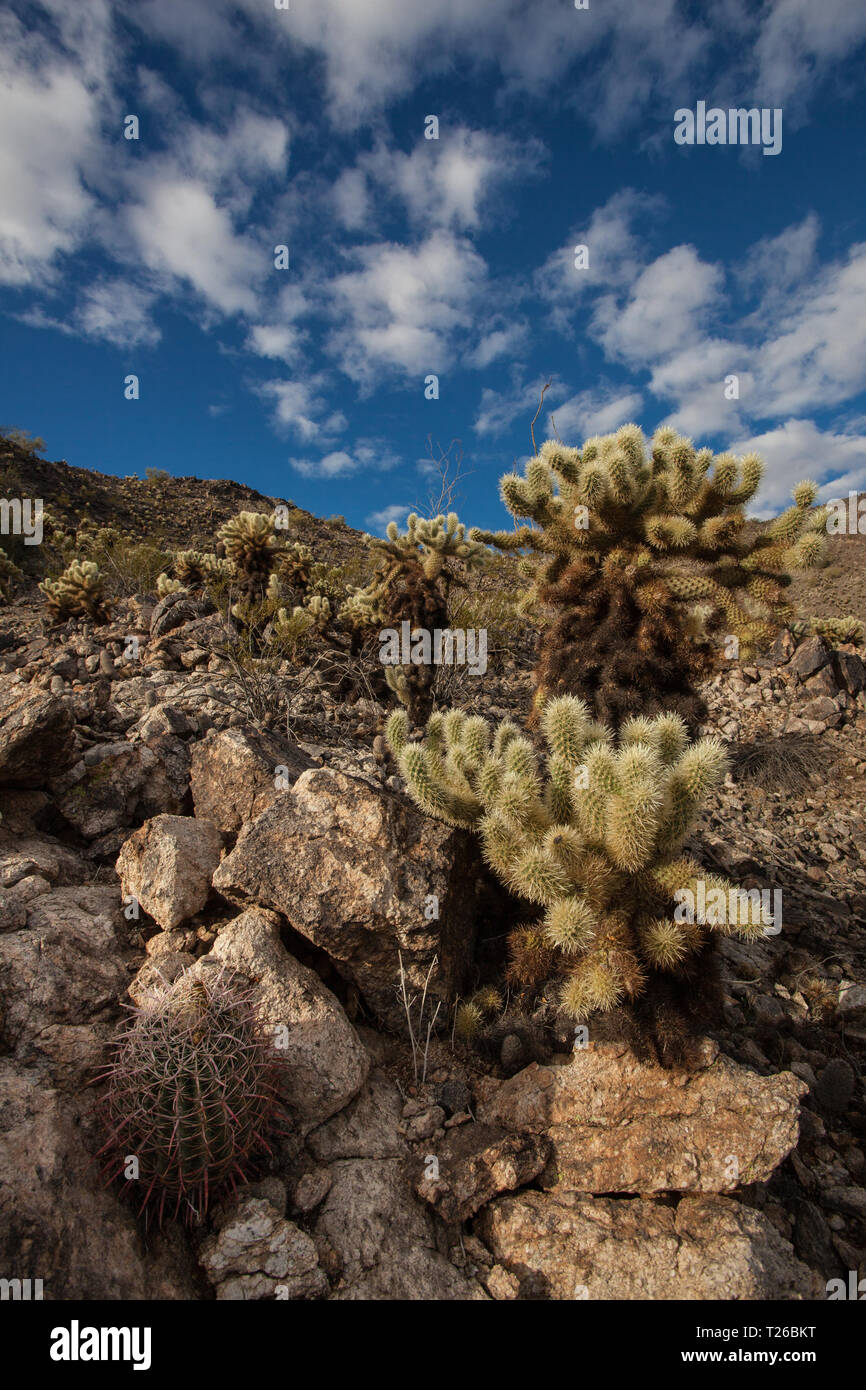 Casa Grande, Pinal County, Arizona, USA Stock Photo - Alamy