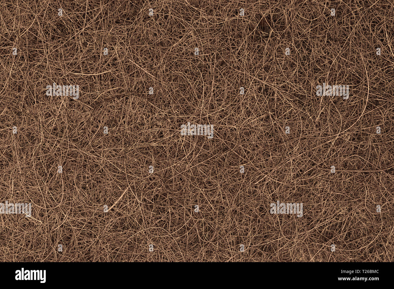 Dense and brown coconut fiber background surface made from thousands of ...