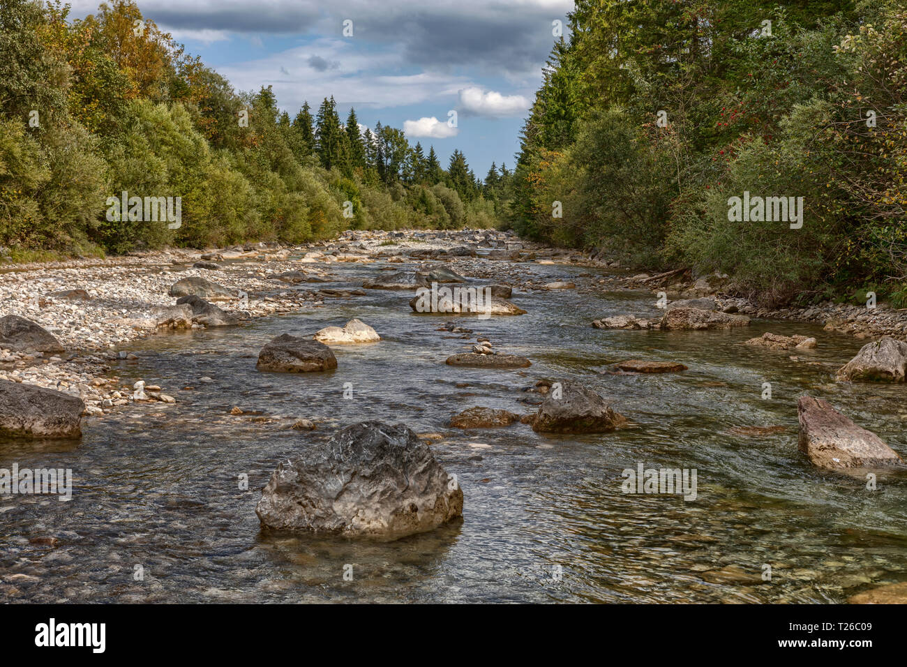 The Halblech a natural river near Füssen in Bavaria Stock Photo - Alamy