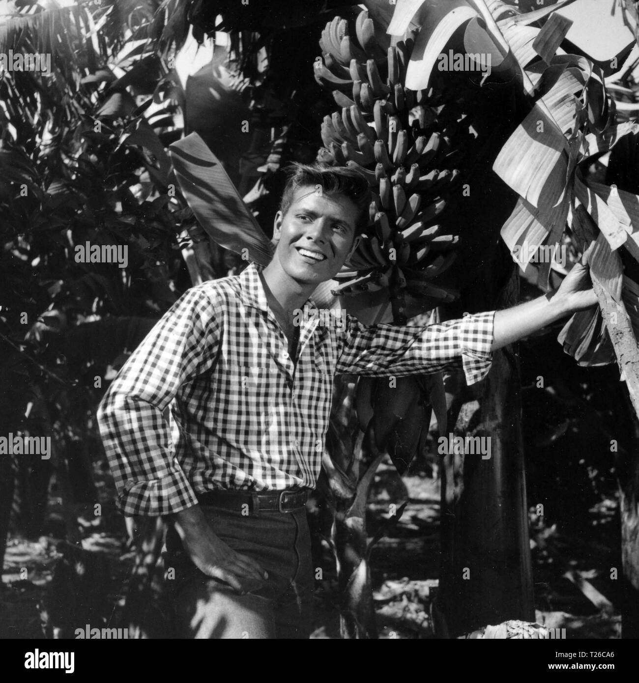 Wonderful Life (1964) Cliff Richard, Date: 1964 Stock Photo - Alamy