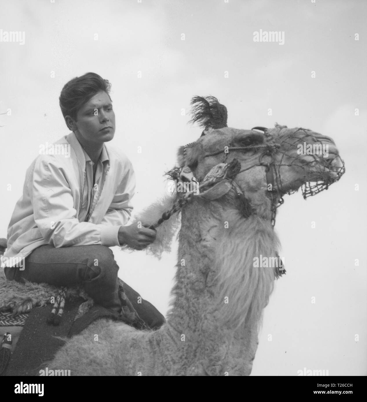 Wonderful Life (1964) Cliff Richard riding a camel, Date: 1964 Stock ...