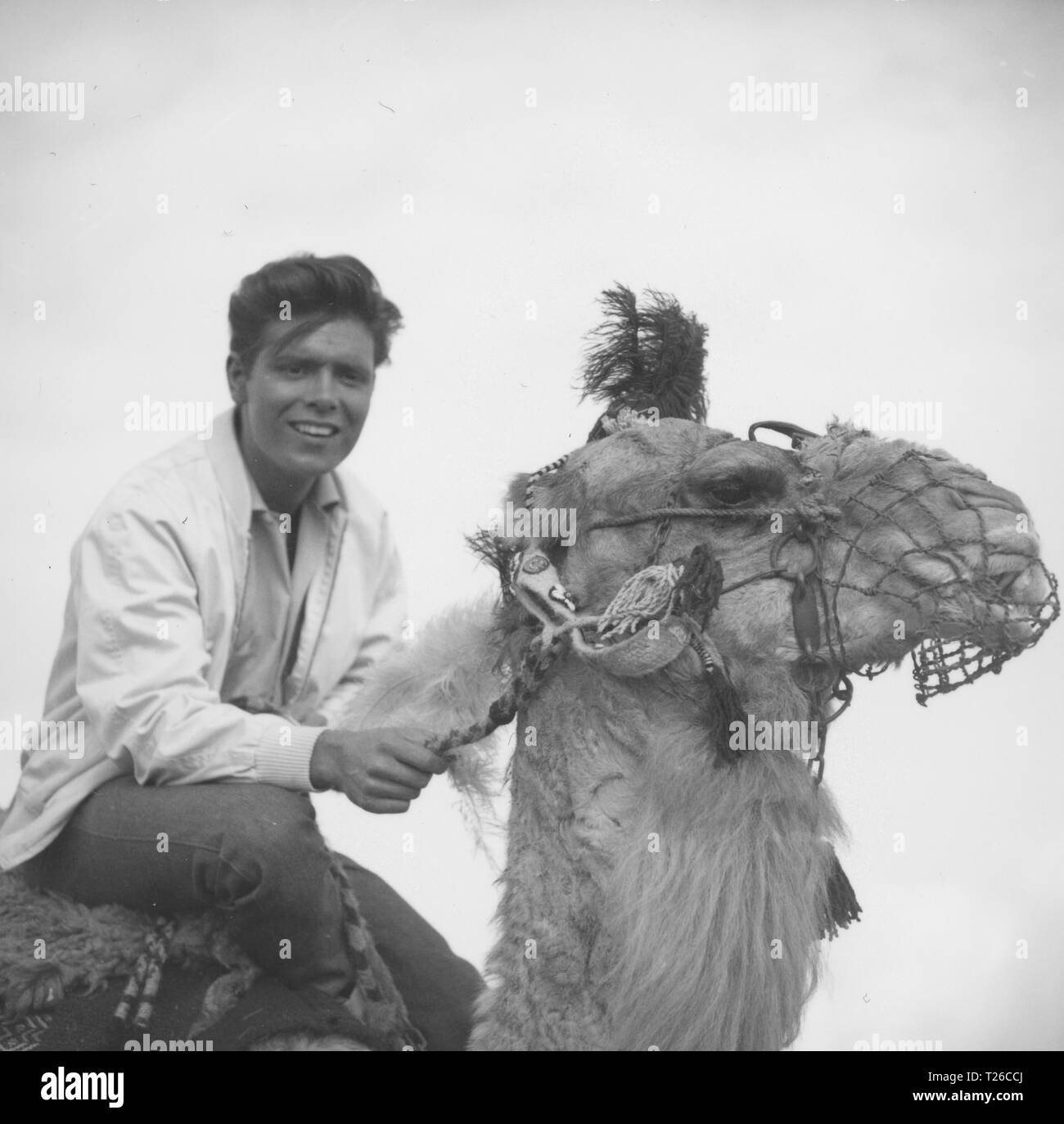 Wonderful Life (1964) Cliff Richard riding a camel, Date: 1964 Stock ...