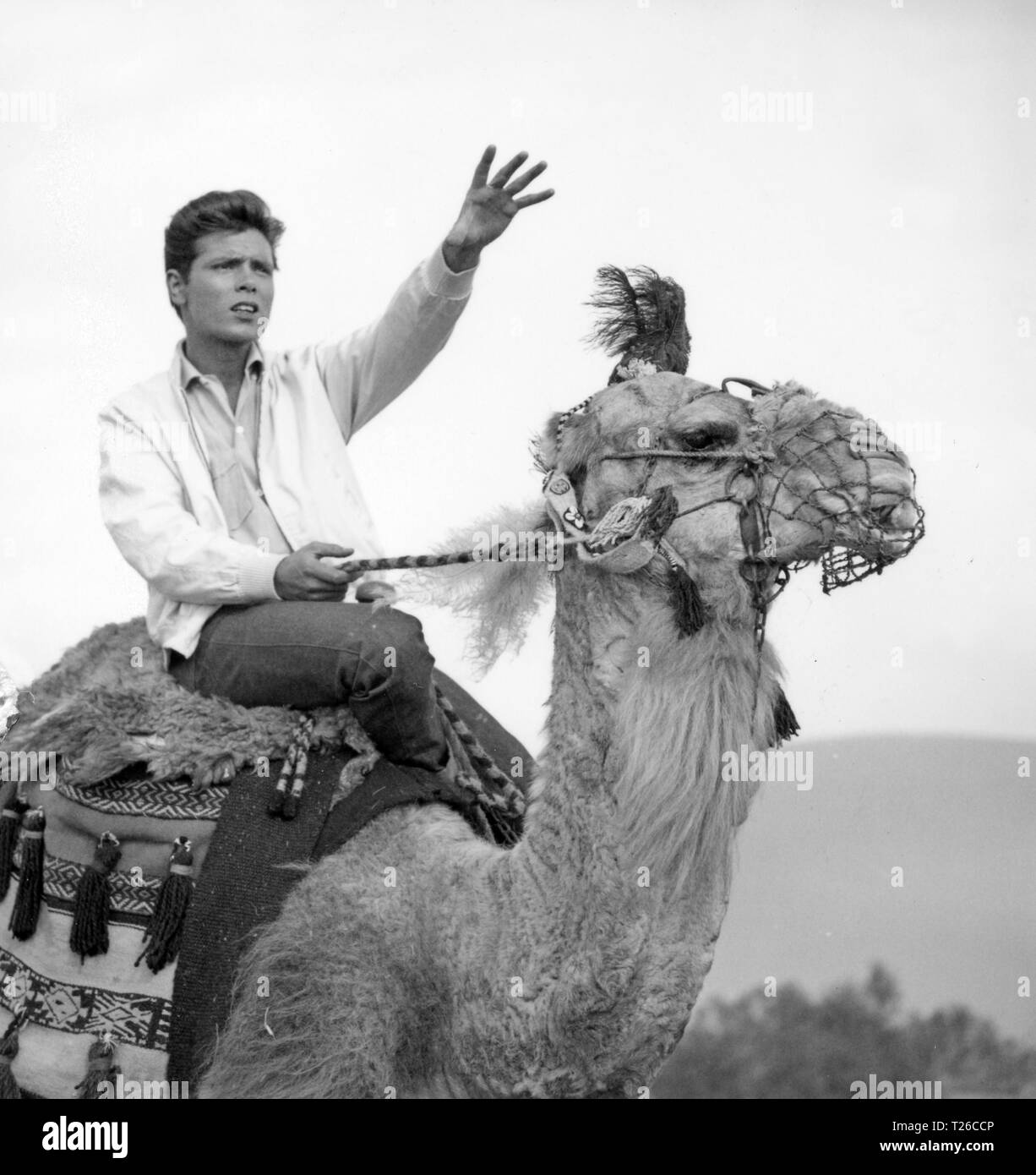 Wonderful Life (1964) Cliff Richard riding a camel, Date: 1964 Stock ...