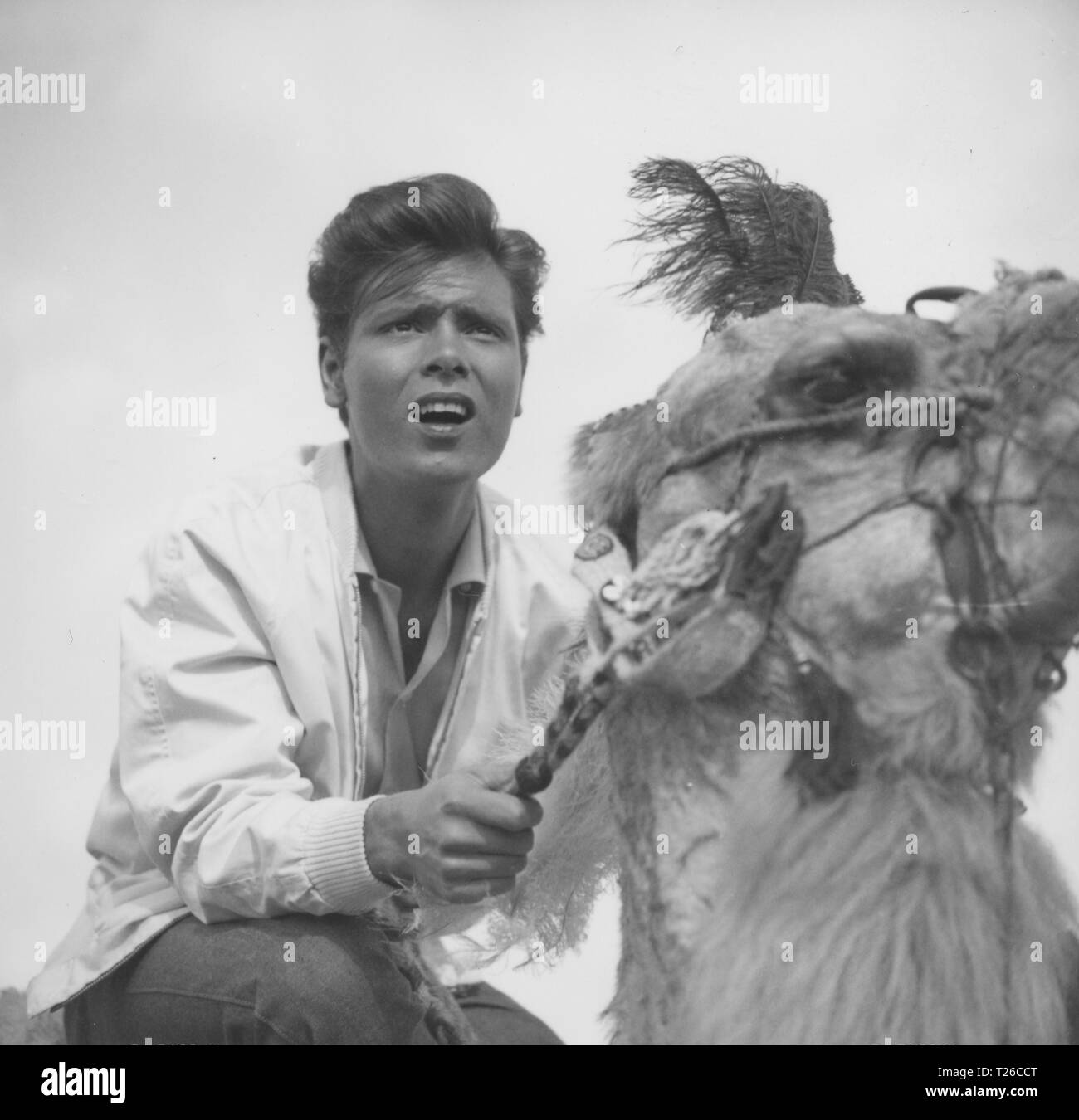 Wonderful Life (1964) Cliff Richard riding a camel, Date: 1964 Stock ...
