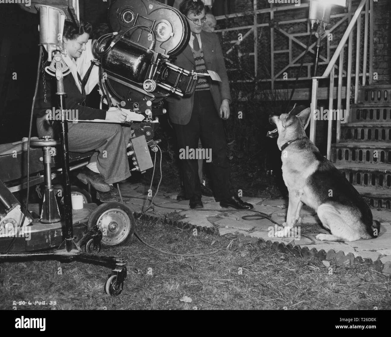 Filming animals Black and White Stock Photos & Images - Alamy