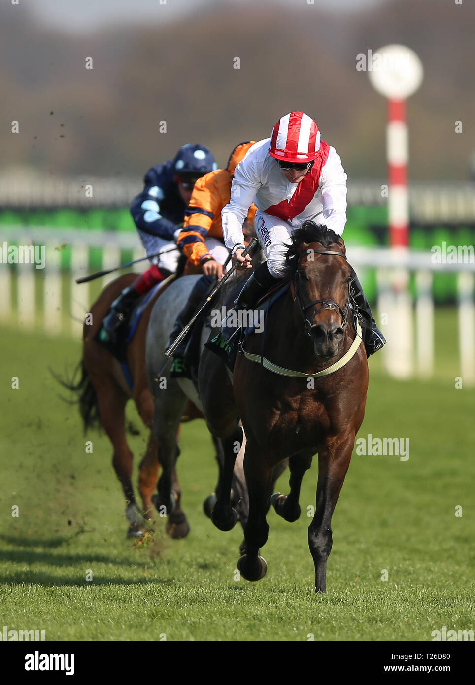 Invincible army horse hi-res stock photography and images - Alamy