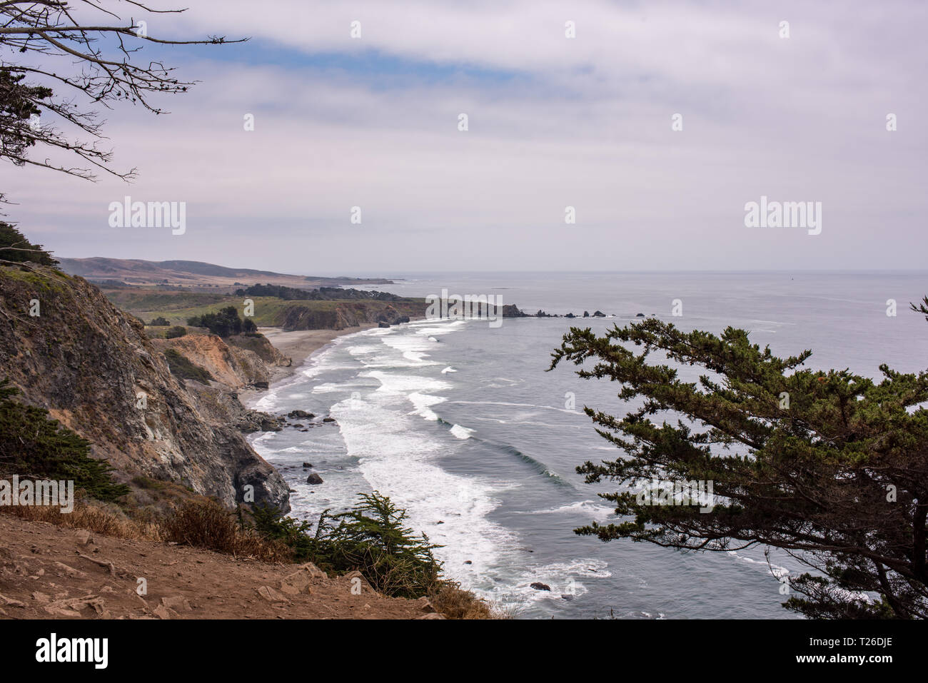 The California Coast is one of the top drives in the United states, and ...