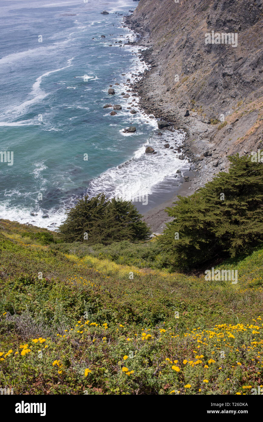 The California Coast is one of the top drives in the United states, and ...