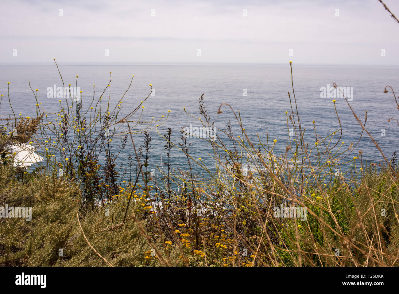 Ragged mountain resort hi-res stock photography and images - Alamy