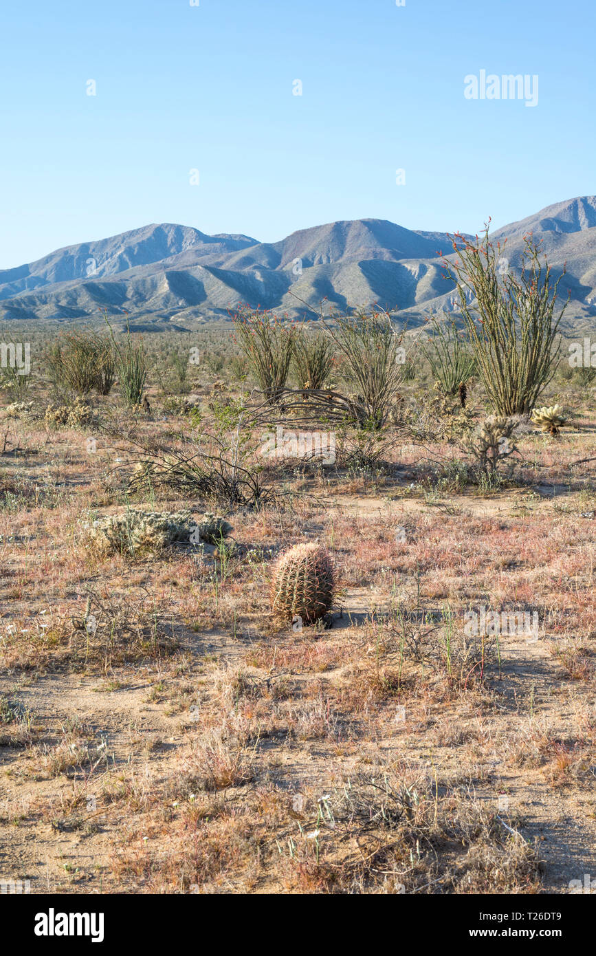 Desert landscape at Anza-Borrego State Park. Southern California, USA ...