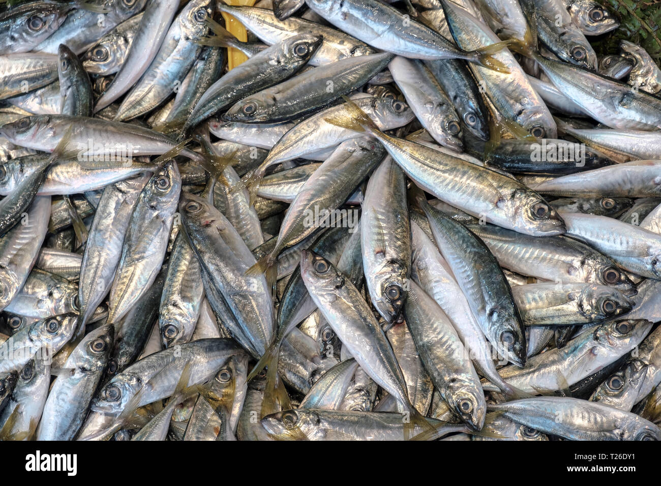 Mediterranean fish seafood hi-res stock photography and images - Alamy