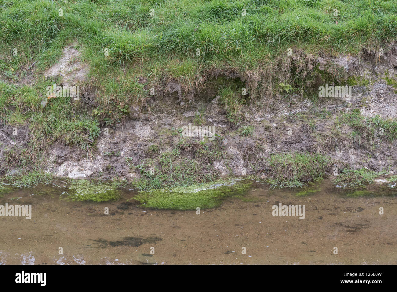 Partially collapsed bank of a small river. For water erosion and the ...