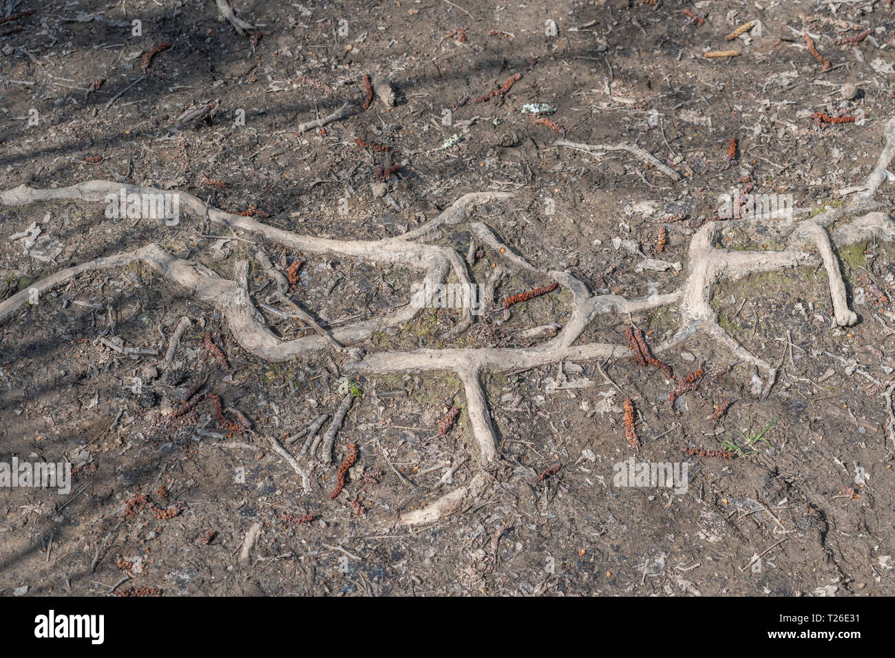 Root cause analysis hi-res stock photography and images - Alamy