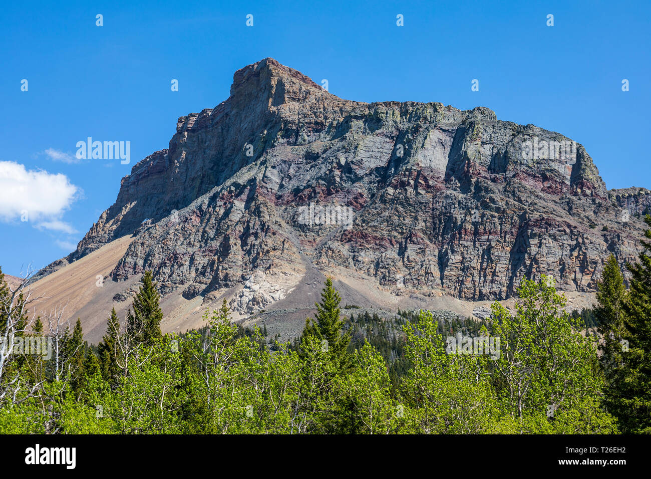 Table Mountain in the afternoon sunlight Stock Photo - Alamy