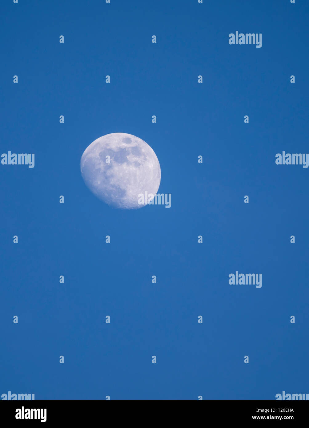 Daytime Moon High Resolution Stock Photography and Images - Alamy
