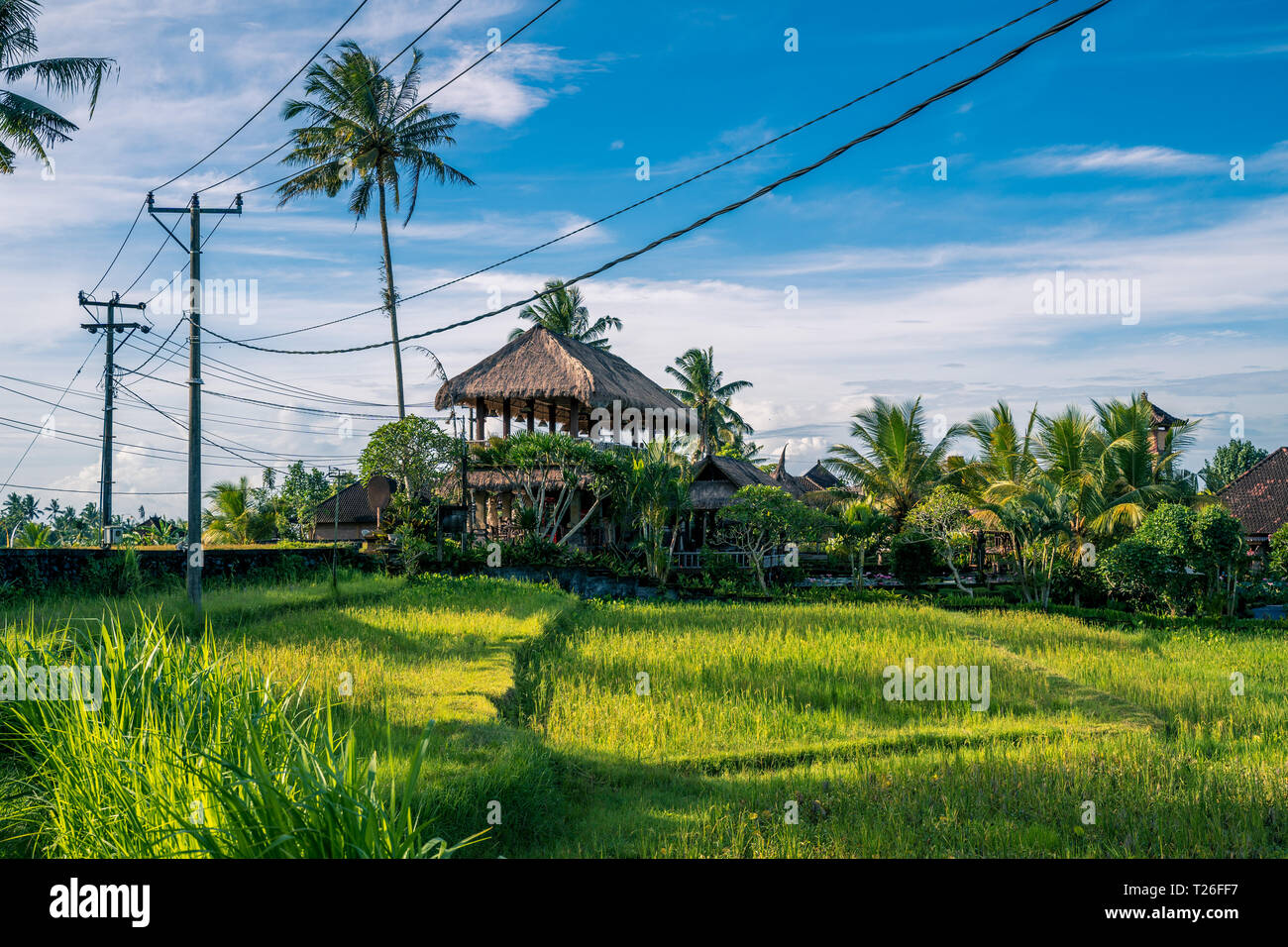 Farm house landscape in Ubud, Bali Stock Photo - Alamy