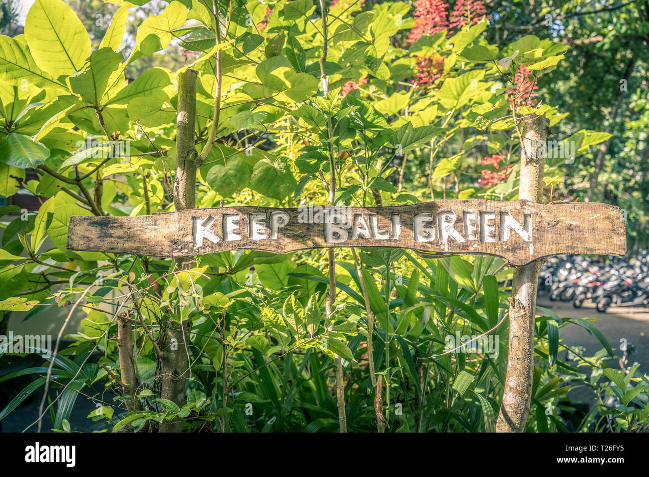Sign "Keep Bali Green" on the lash tropical greenery background. As a ...
