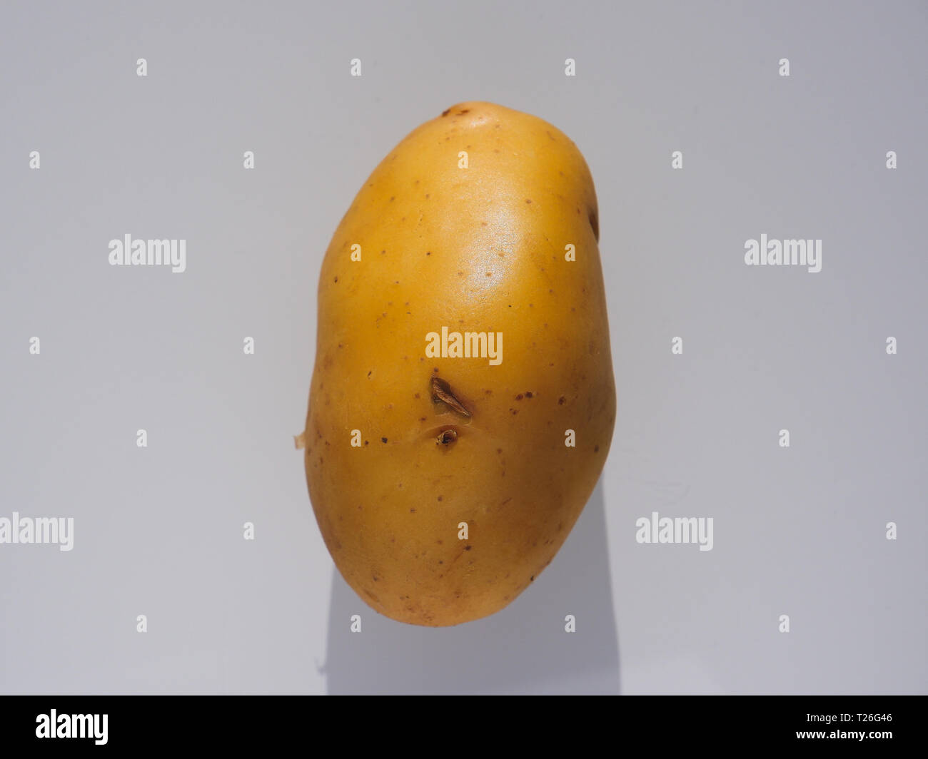 Single yellow potato hi-res stock photography and images - Alamy