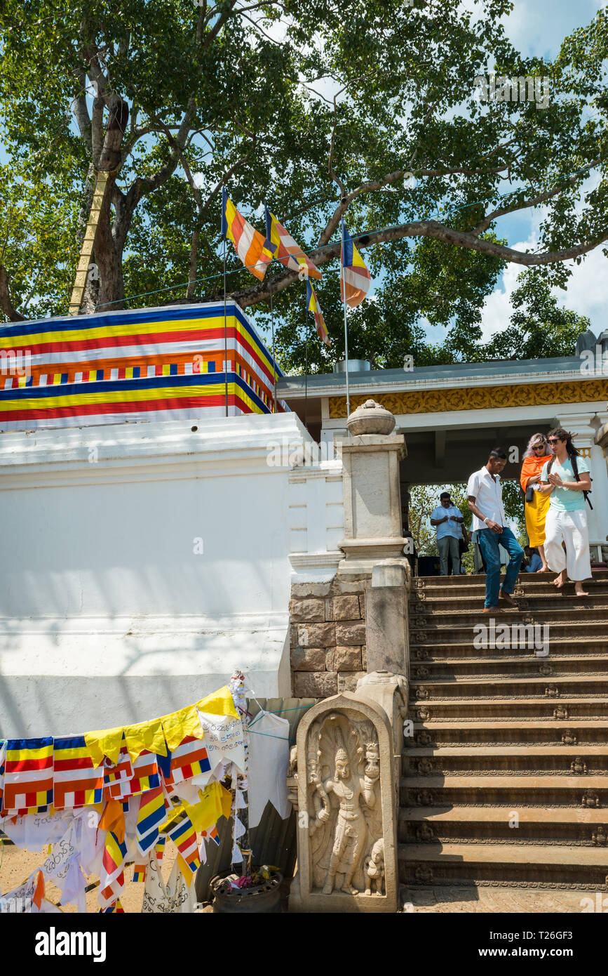 Thuparamaya temple, Anuradhapura, Sri Lanka Stock Photo - Alamy