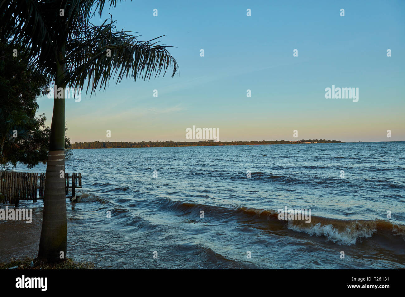 Shore of Lake Victoria Stock Photo - Alamy