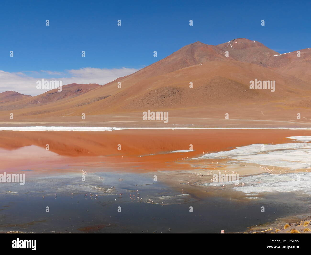Laguna Colorada, Coloured Lagoon, takes it's colour from algae and it's ...