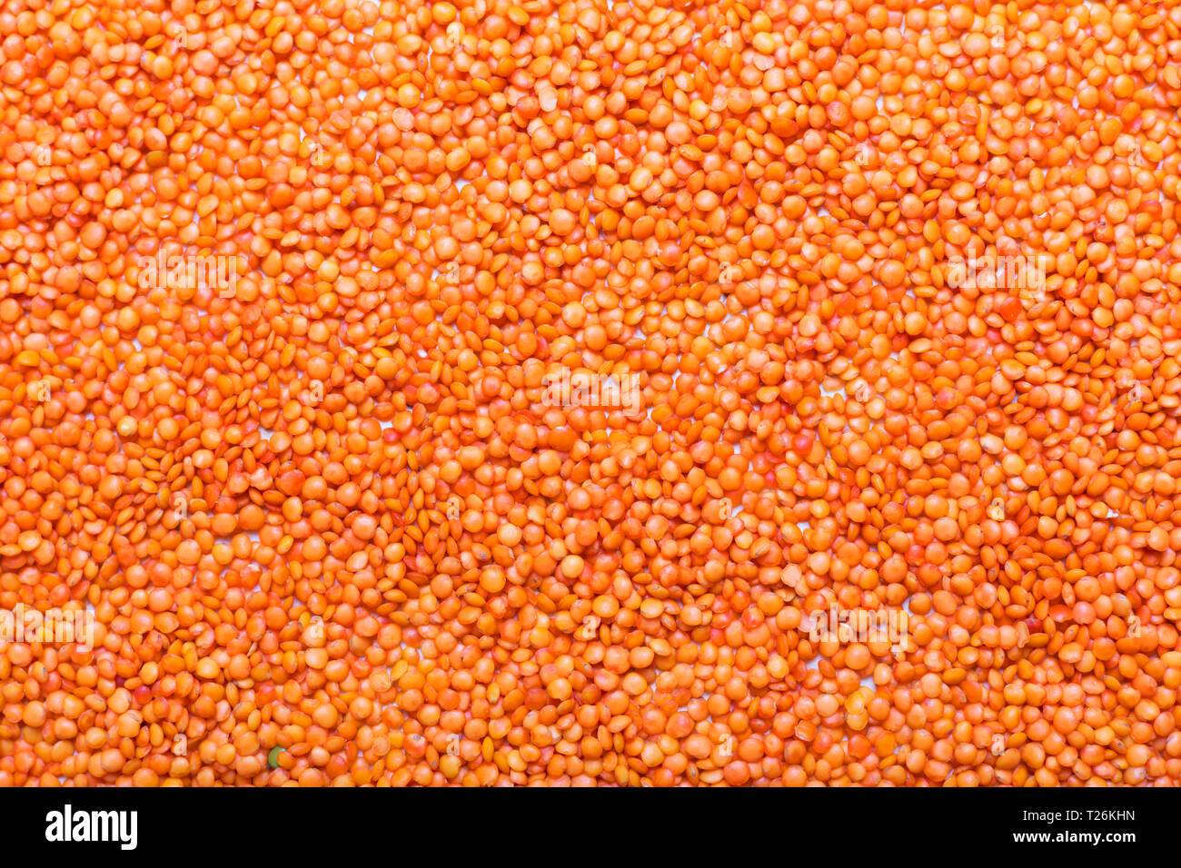 Lentil is a small, flat seed of an annual legume plant. Lentils are ...
