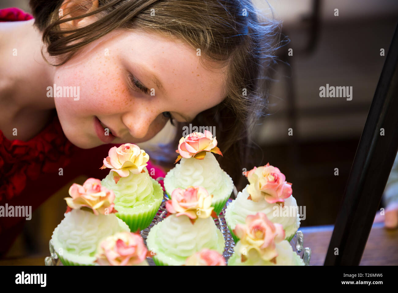 Yorkshire soap co hi-res stock photography and images - Alamy