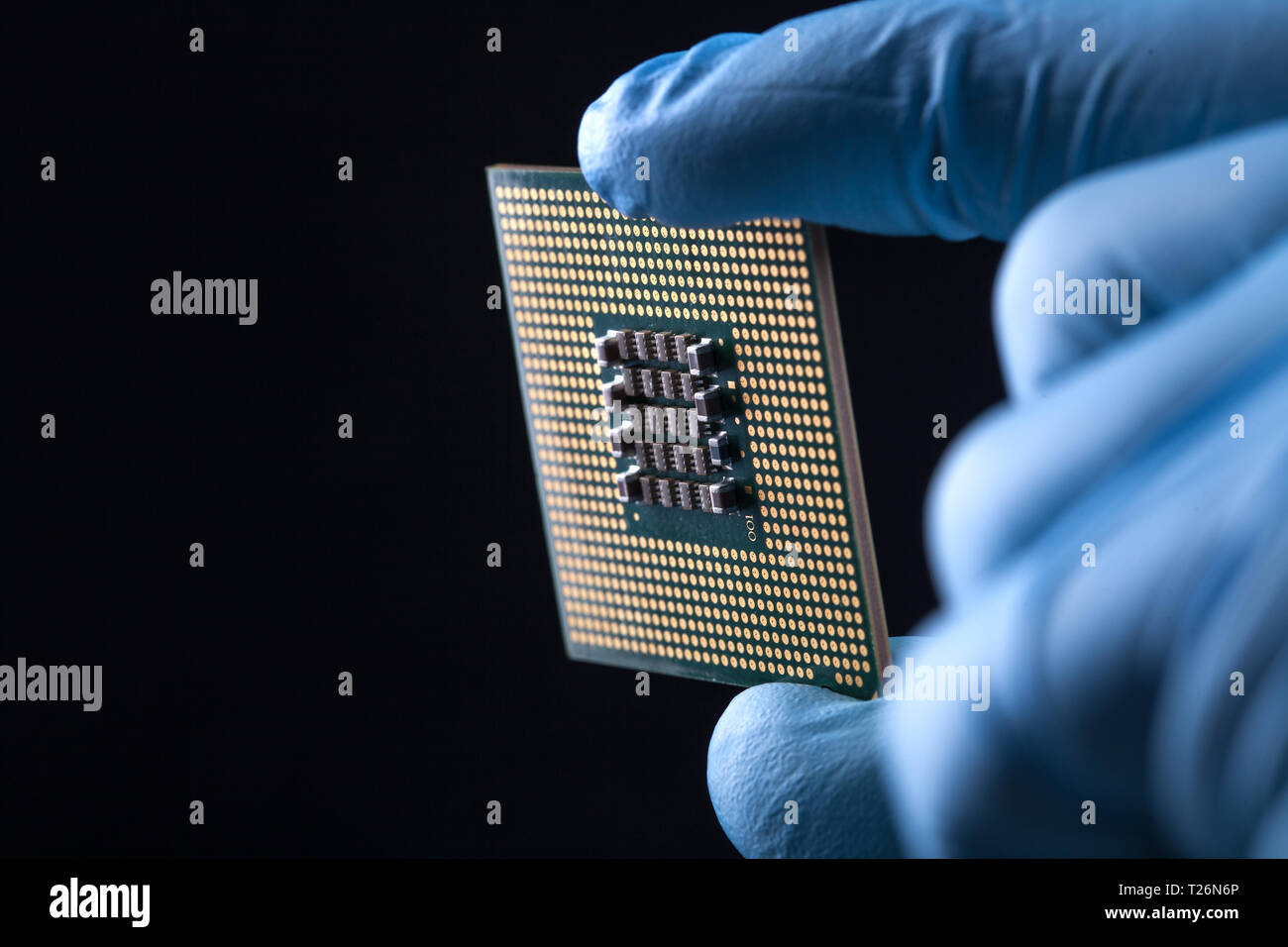Hand holds processor Stock Photo - Alamy
