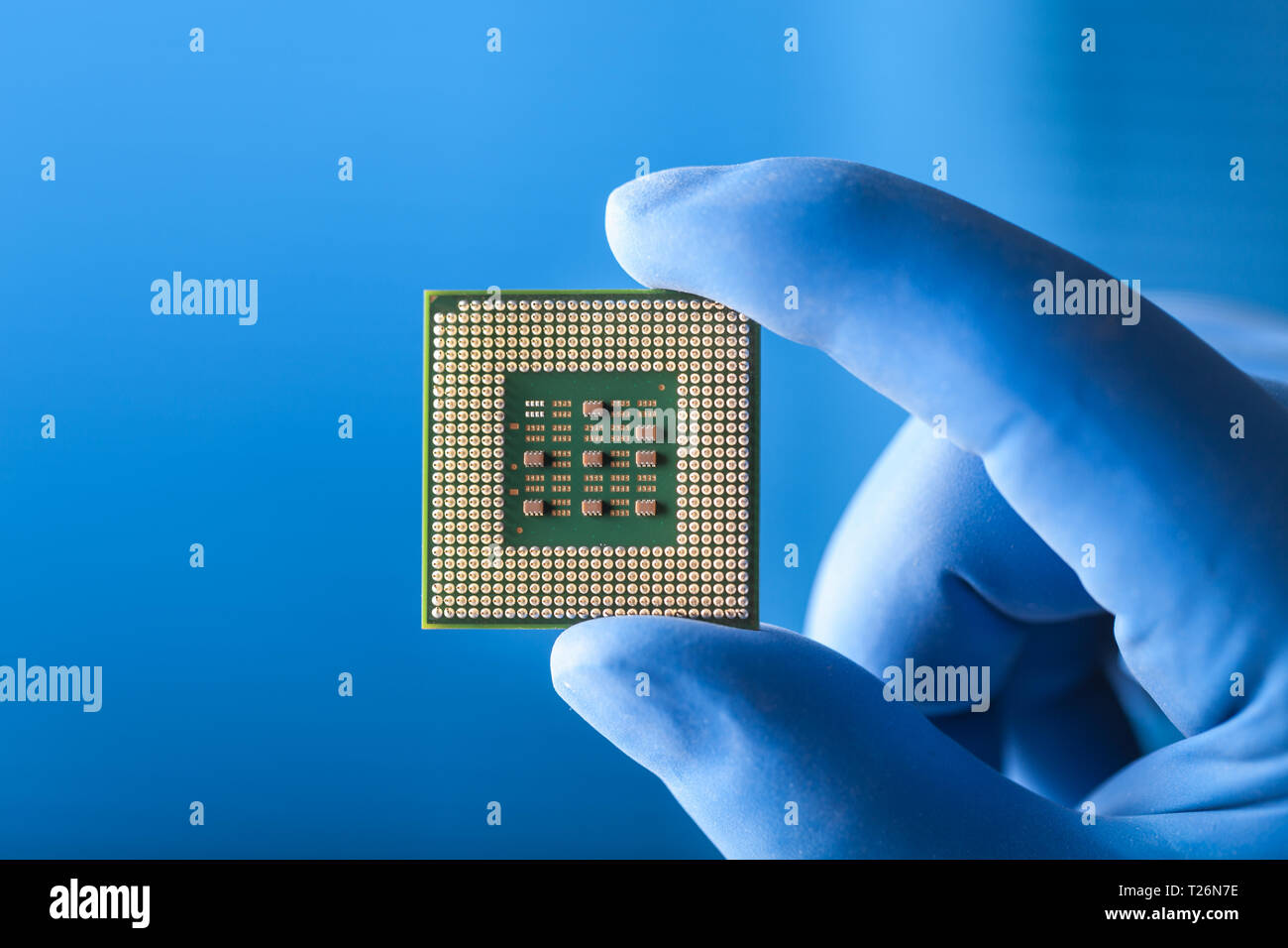 Hand holds processor Stock Photo - Alamy