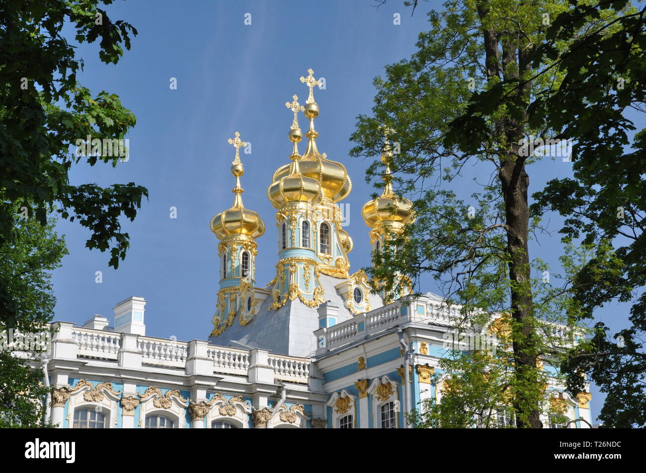 Catherines palace pushkin st hi-res stock photography and images - Alamy