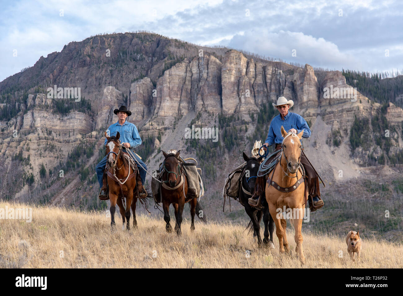 Cowboy riding horse pack horse hi-res stock photography and images - Alamy