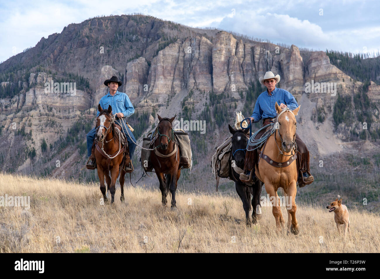 Two Cowboys Riding Horses High Resolution Stock Photography and Images ...