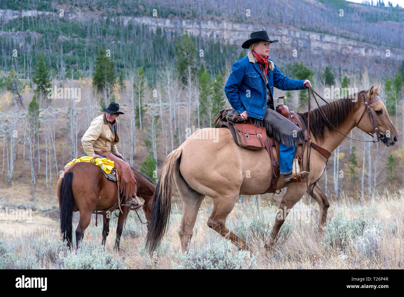 Two Cowboys Riding Horses High Resolution Stock Photography and Images ...