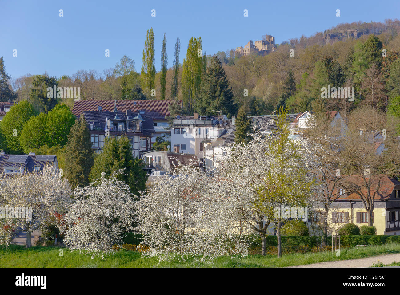 Baden-Baden is a spa town in the Black Forest, southwest of Germany and ...