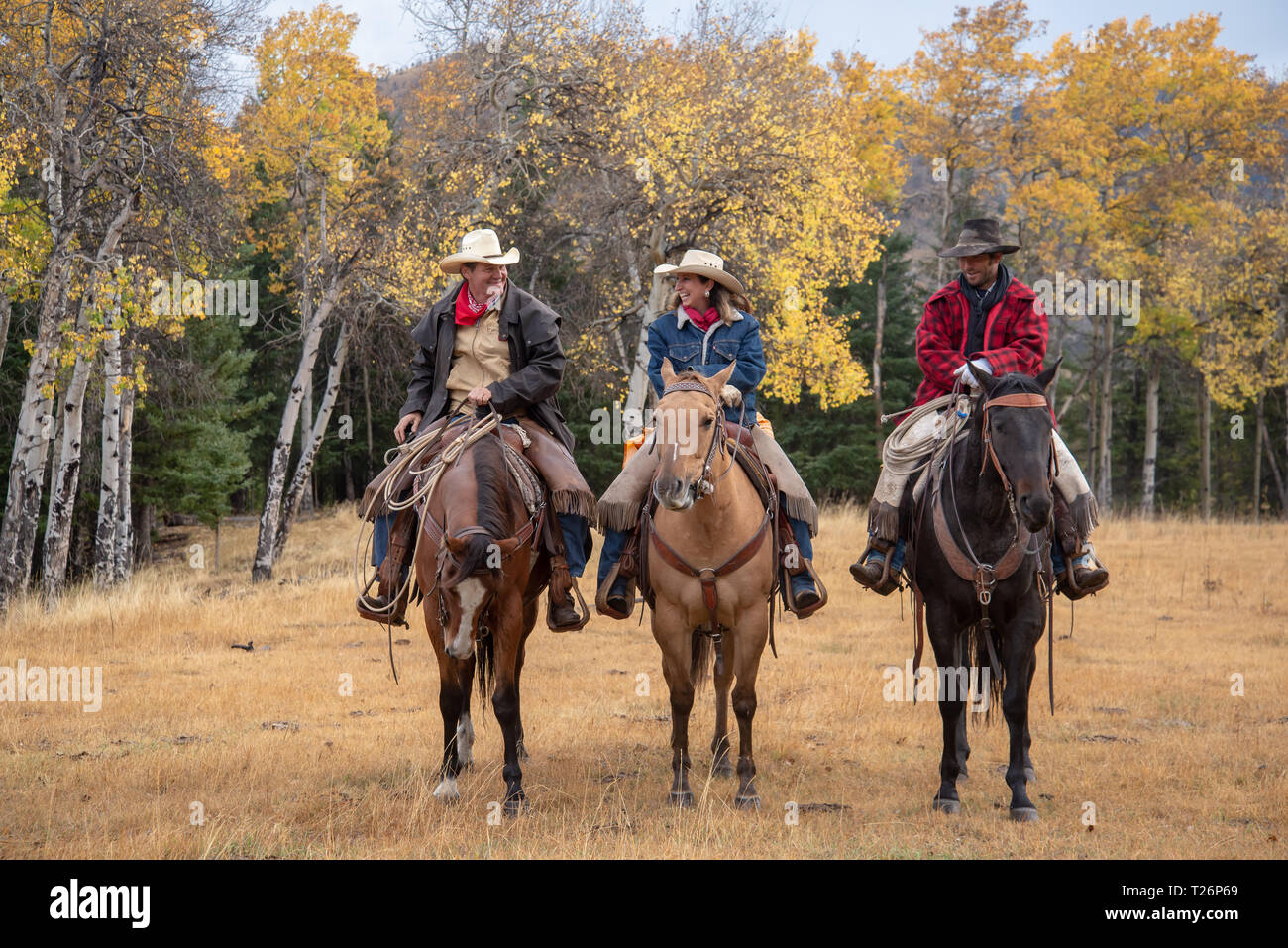 Cowboys of Wyoming, USA Stock Photo - Alamy