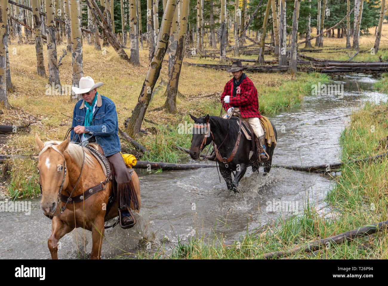 Two Cowboys Riding Horses High Resolution Stock Photography and Images ...