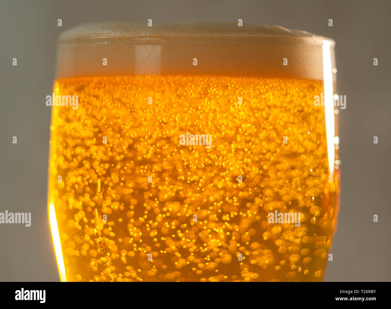 bubbles and foam in the rays of light in a glass of beer close-up Stock ...