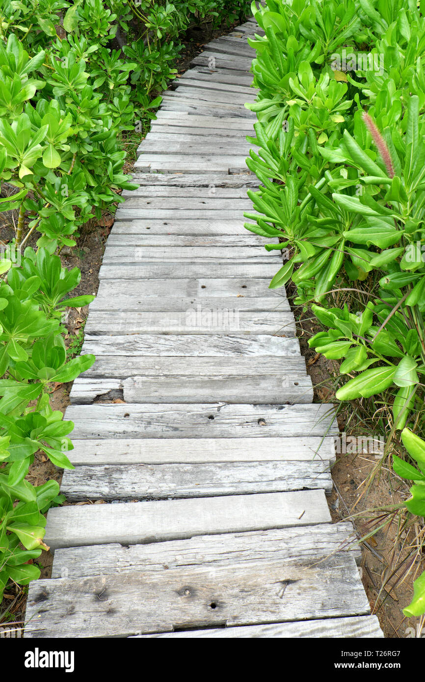 Wooden bridge walkway in garden with green leaves Stock Photo - Alamy