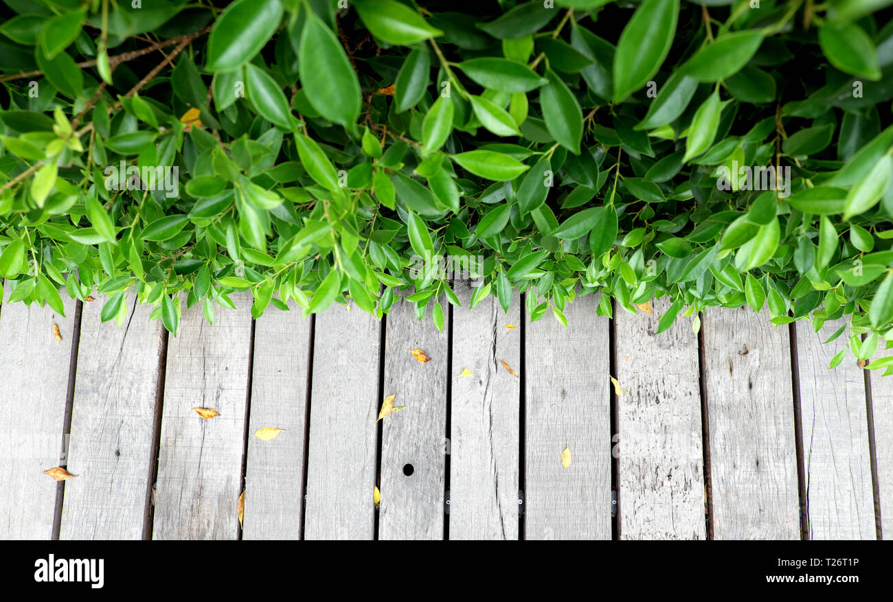 Wooden Bridge Floor Texture Beautiful High Resolution Stock Photography ...