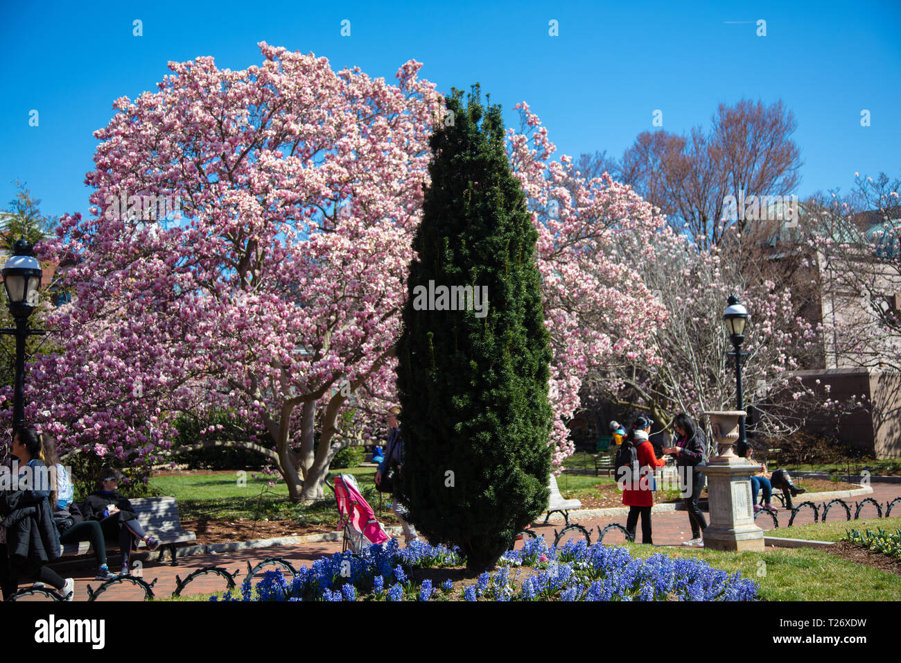 Washington, United States Of America. 26th Mar, 2019. The saucer ...