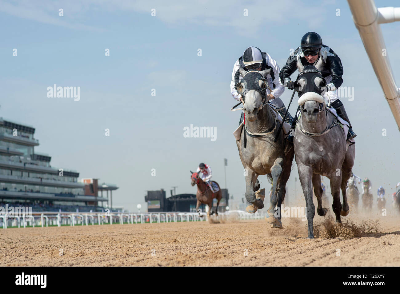 Dubai, USA. 30th Mar, 2019. MEYDAN, UNITED ARAB EMIRATES ""“ MARCH 30 ...