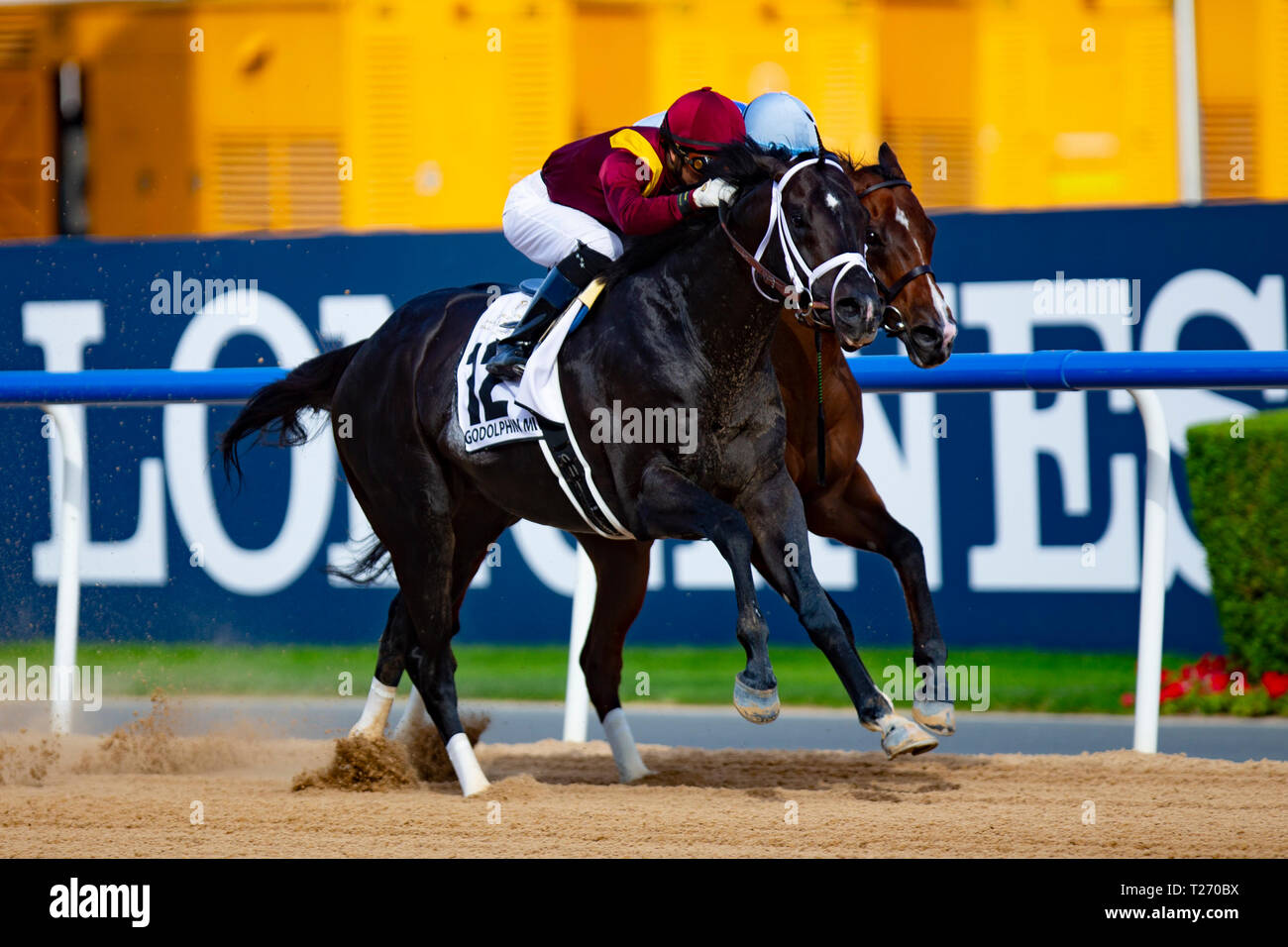 Godolphin arab hi-res stock photography and images - Alamy