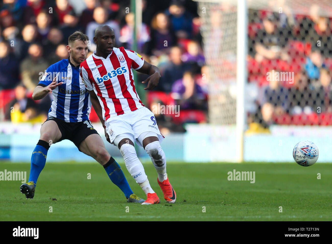 Sam winnall hi-res stock photography and images - Alamy