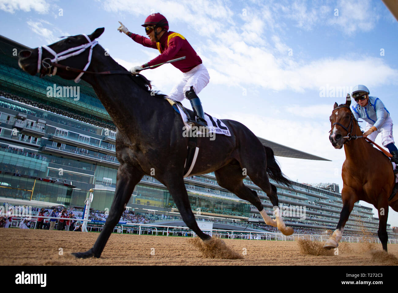 Godolphin arab hi-res stock photography and images - Alamy
