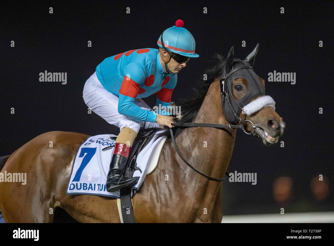Dubai, UAE. 30th Mar, 2019. Almond Eye, ridden by Christophe Lemaire ...