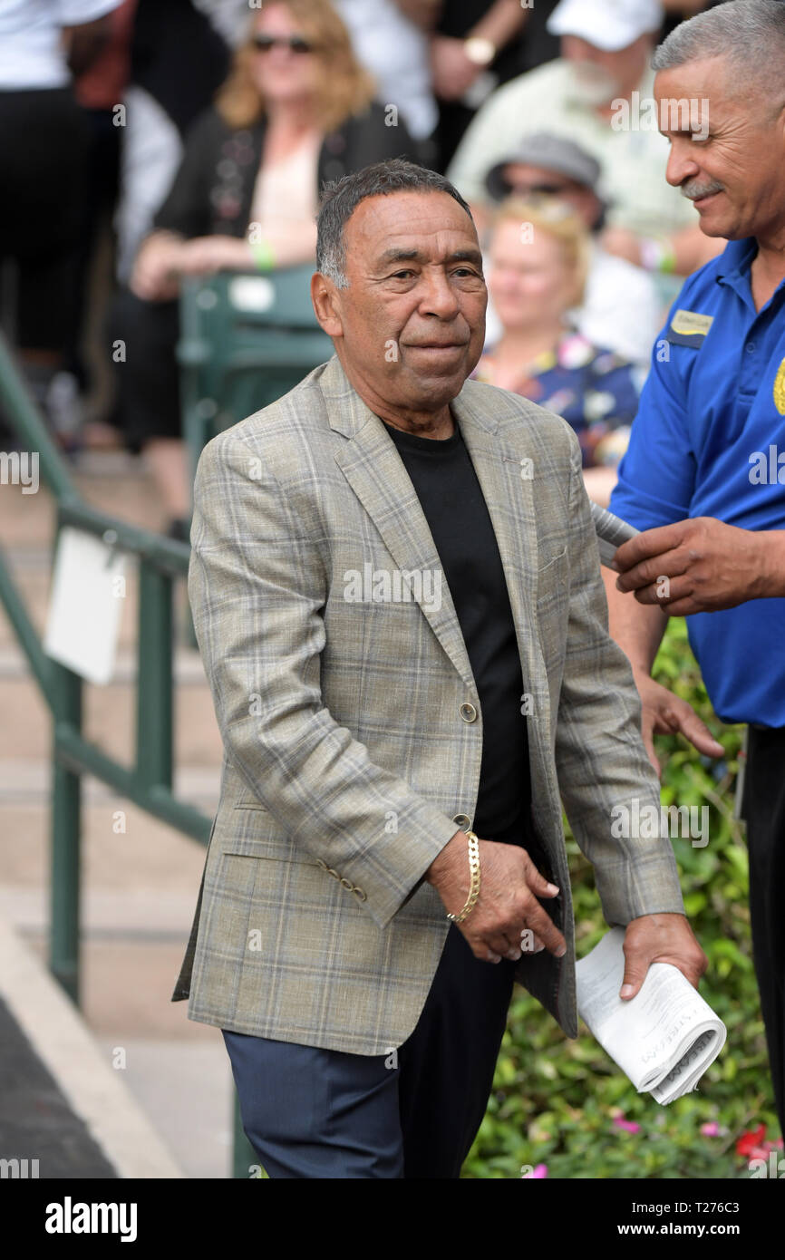 Jockey angel cordero hi-res stock photography and images - Alamy