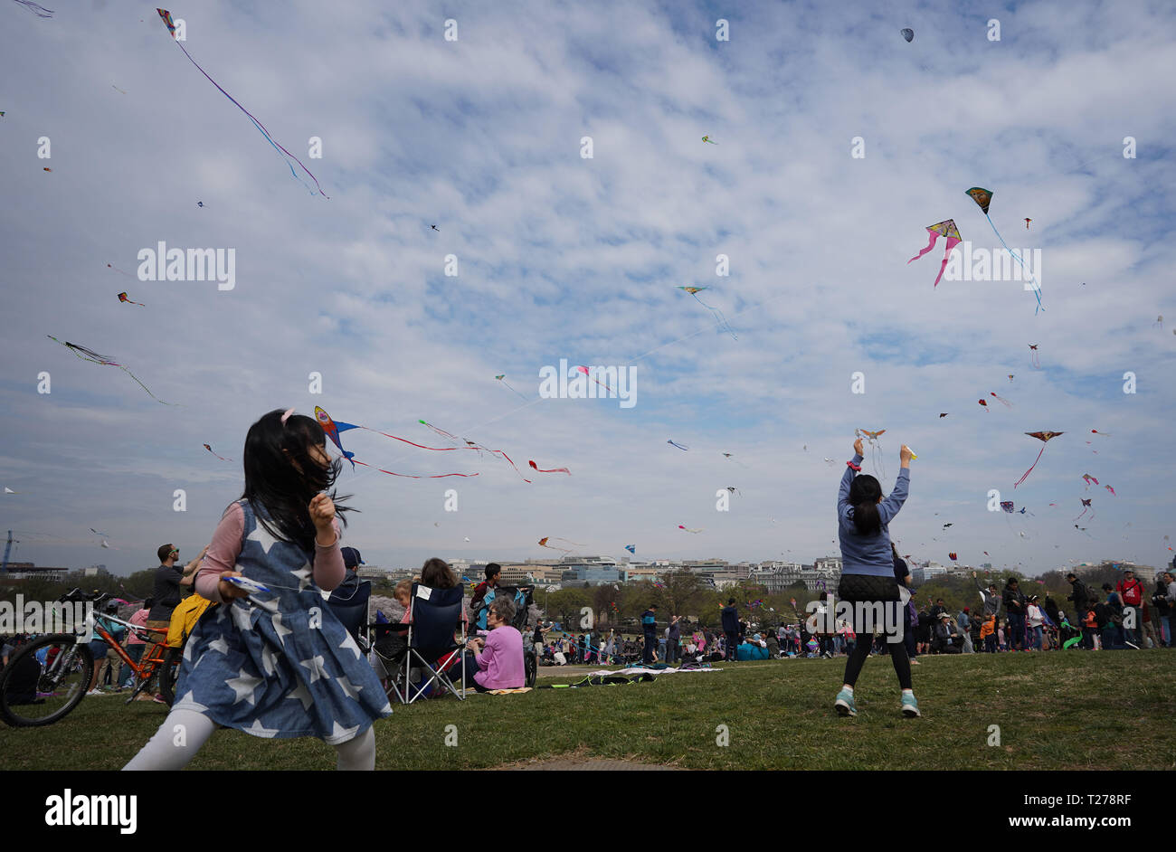 National cherry blossom festival hi-res stock photography and images ...