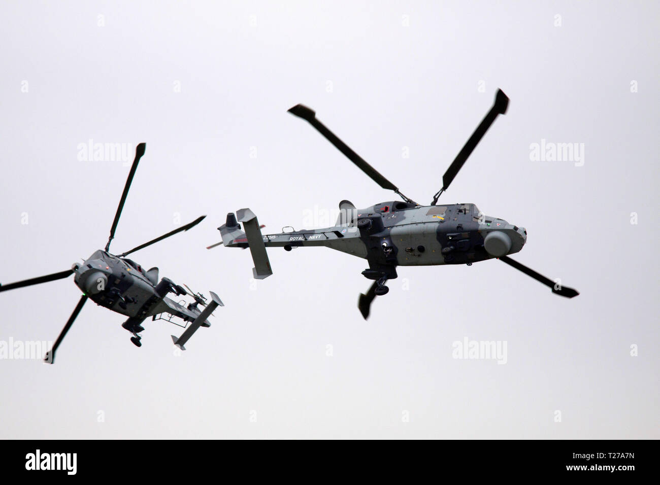 Two Royal Navy | AgustaWestland AW159 Wildcat helicopter in action ...